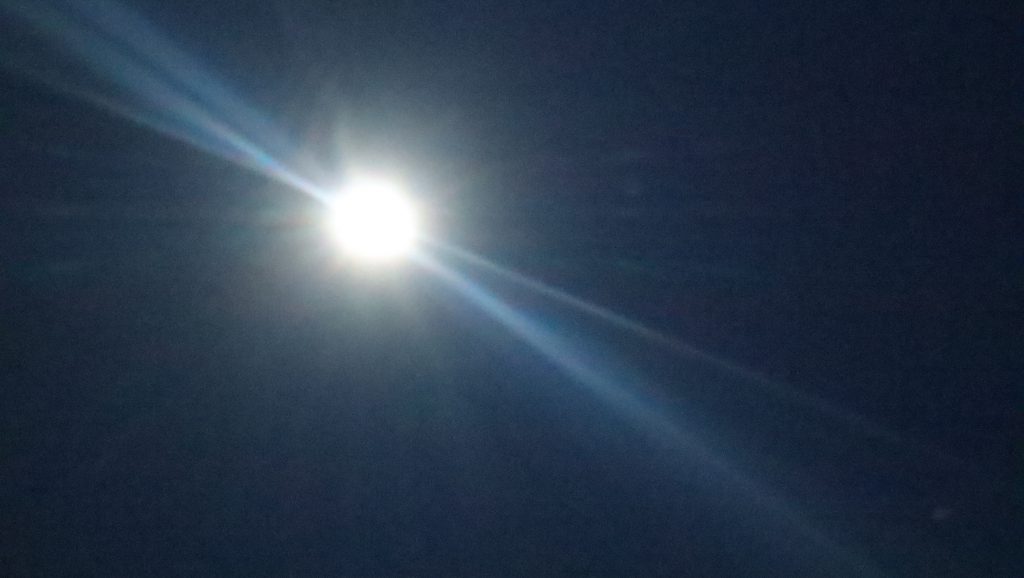 Venus – May 25 – 2023 – Wolf Run Observatory